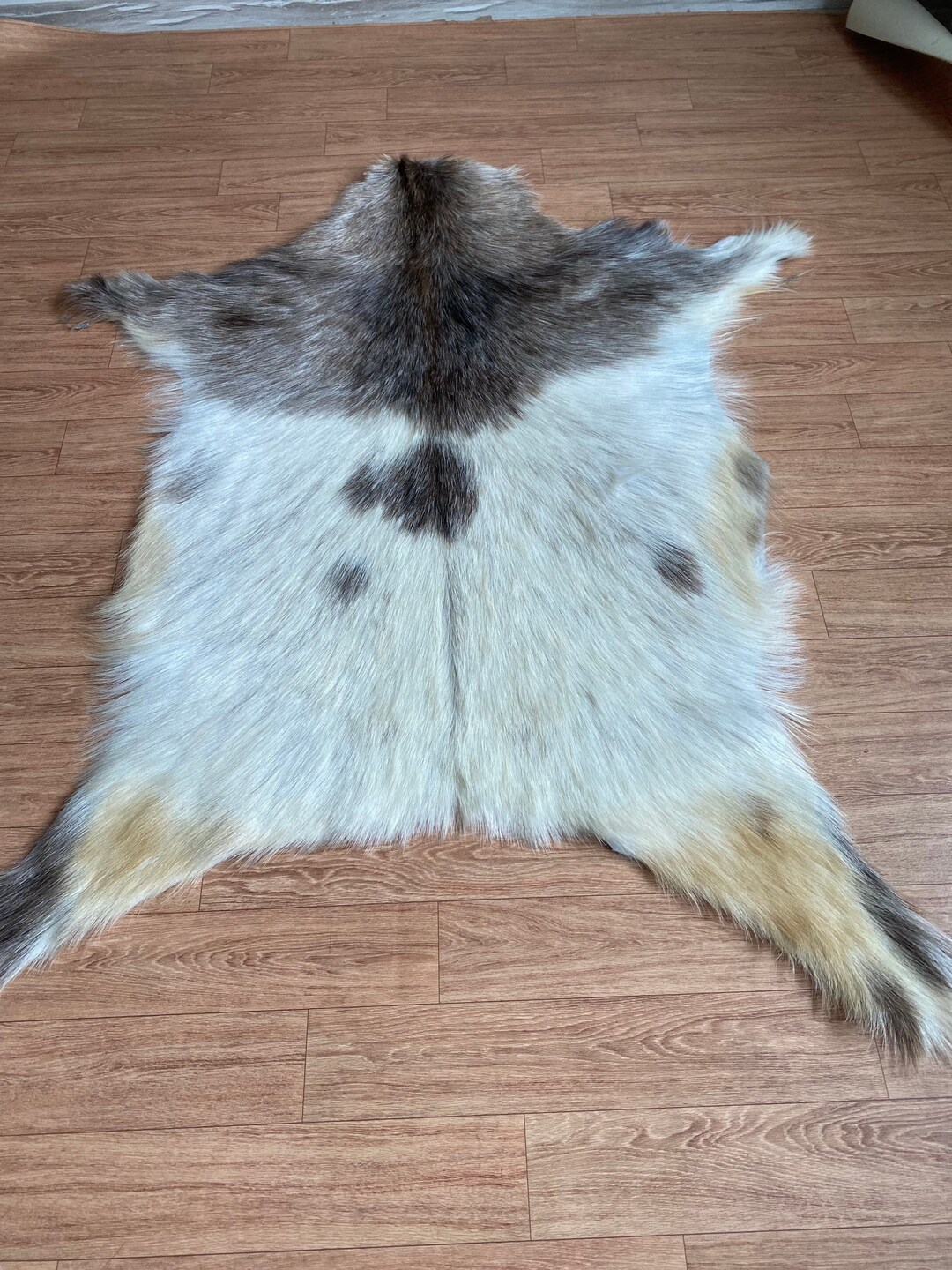 Wall Decor Goatskin,natural Goatskin,goatskin Pelt,genuine Leather ...