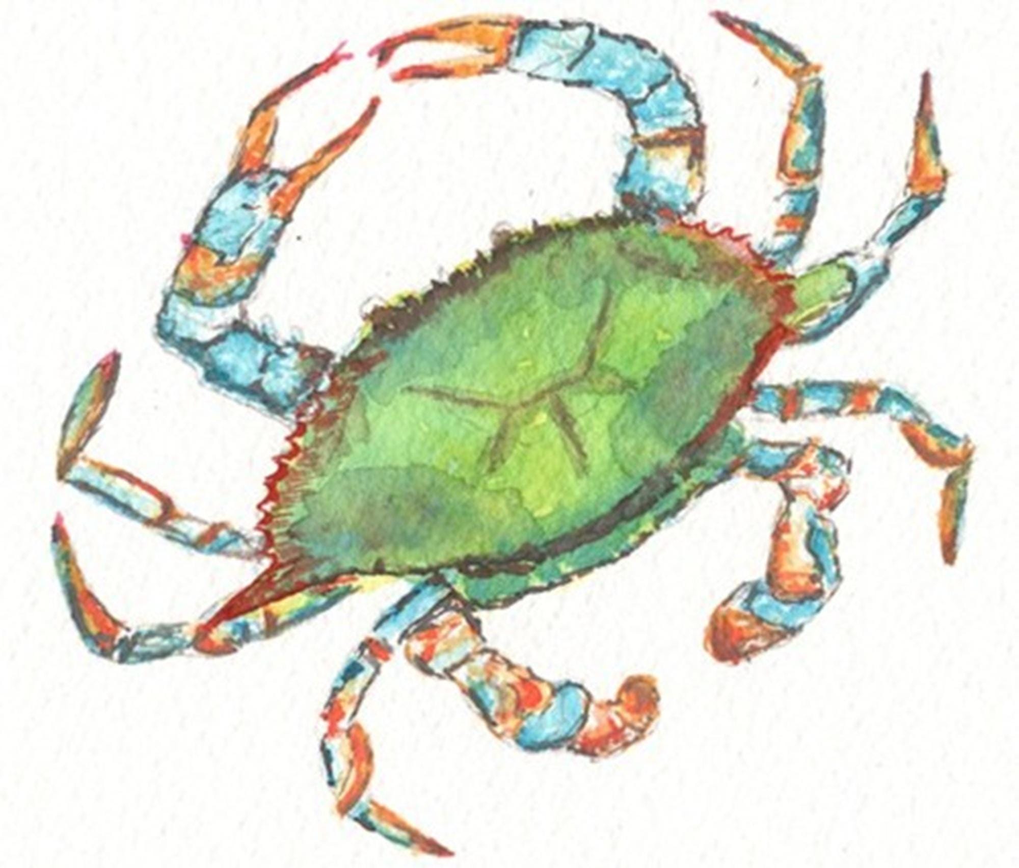 Watercolor Crab Greeting Card Hand Painted Note Card Watercolor Coastal ...