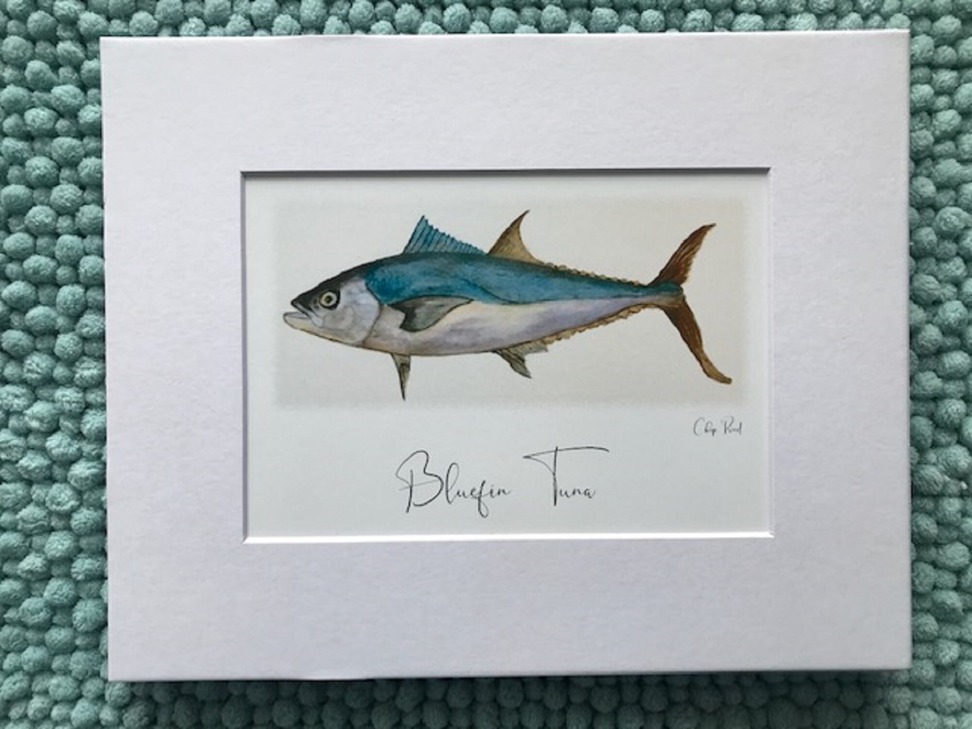 Watercolor Bluefin Tuna Art Hand Painted Salt Water Fish Art Print ...