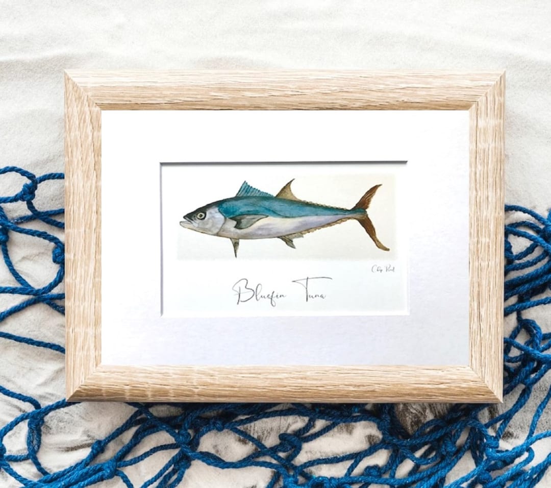 Watercolor Bluefin Tuna Art Hand Painted Salt Water Fish Art Print ...