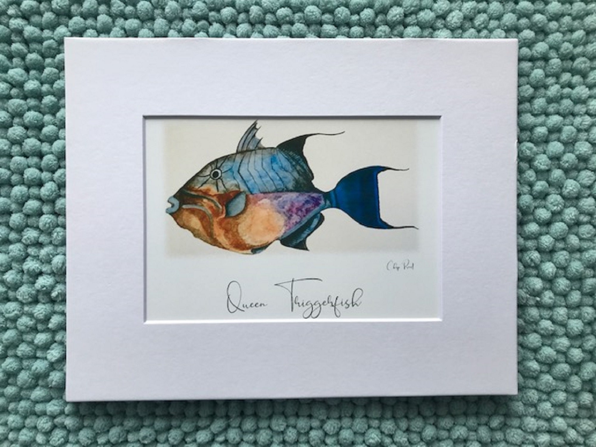 Watercolor Queen Triggerfish Art Print Hand Painted Saltwater Fish Art ...