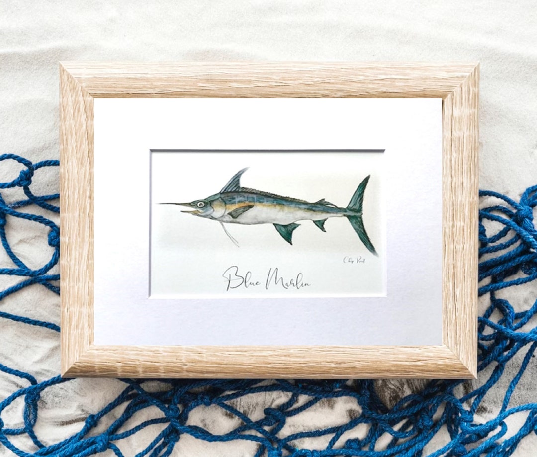 Watercolor Blue Marlin Salt Water Fish Art Print Hand Painted Deep Sea ...