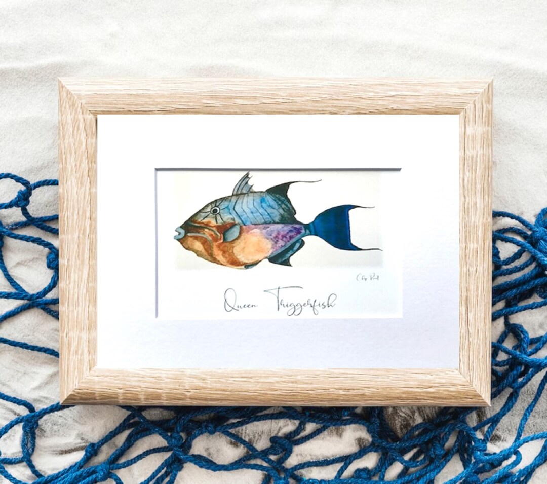 Watercolor Queen Triggerfish Art Print Hand Painted Saltwater Fish Art ...