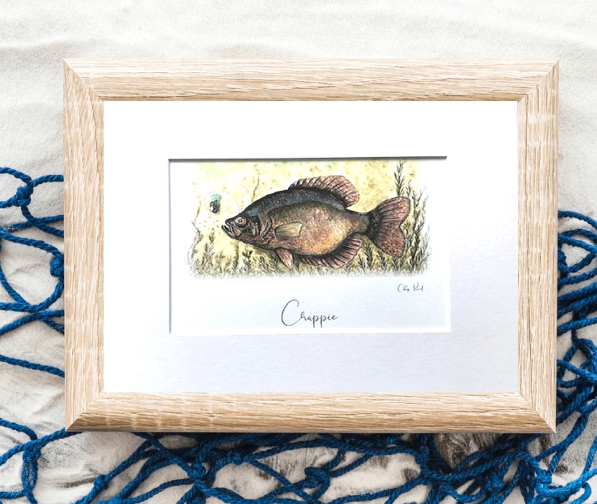 Watercolor Crappie Fish Art Print Hand Painted Fresh Water - Etsy