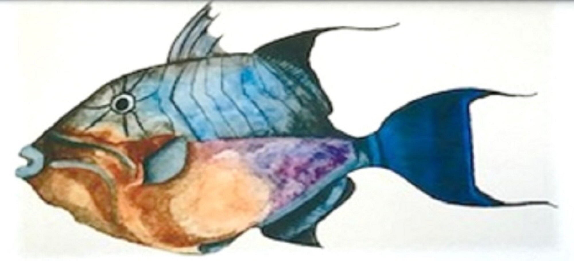 Watercolor Queen Triggerfish Art Print Hand Painted Saltwater Fish Art ...