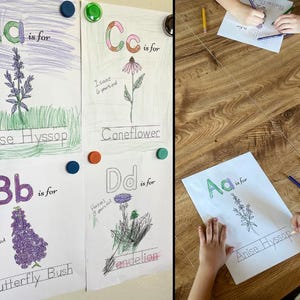 ABC Wildflowers Copywork, Homeschool Alphabet Sheets, Printable ...