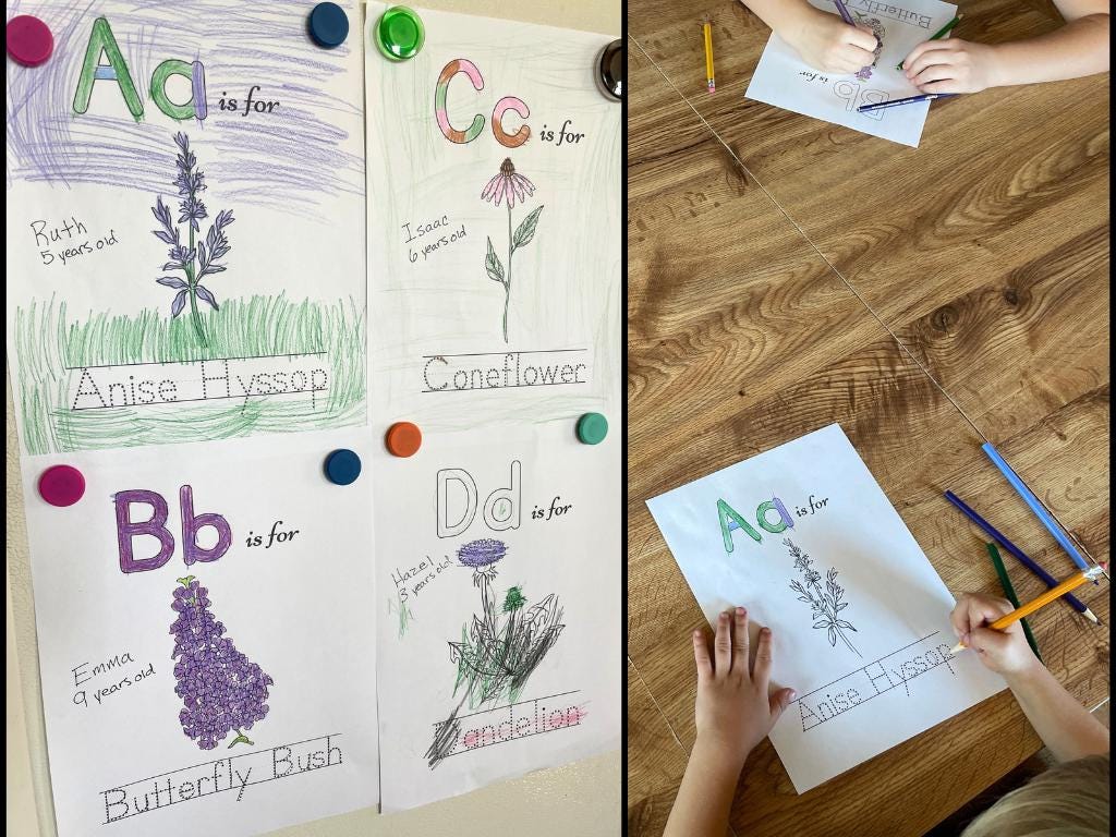 ABC Wildflowers Copywork, Homeschool Alphabet Sheets, Printable ...