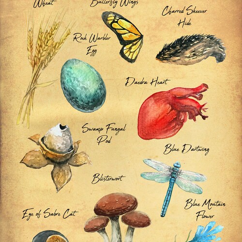 Elder Scrolls Skyrim Restore Health Potion Ingredients Etsy