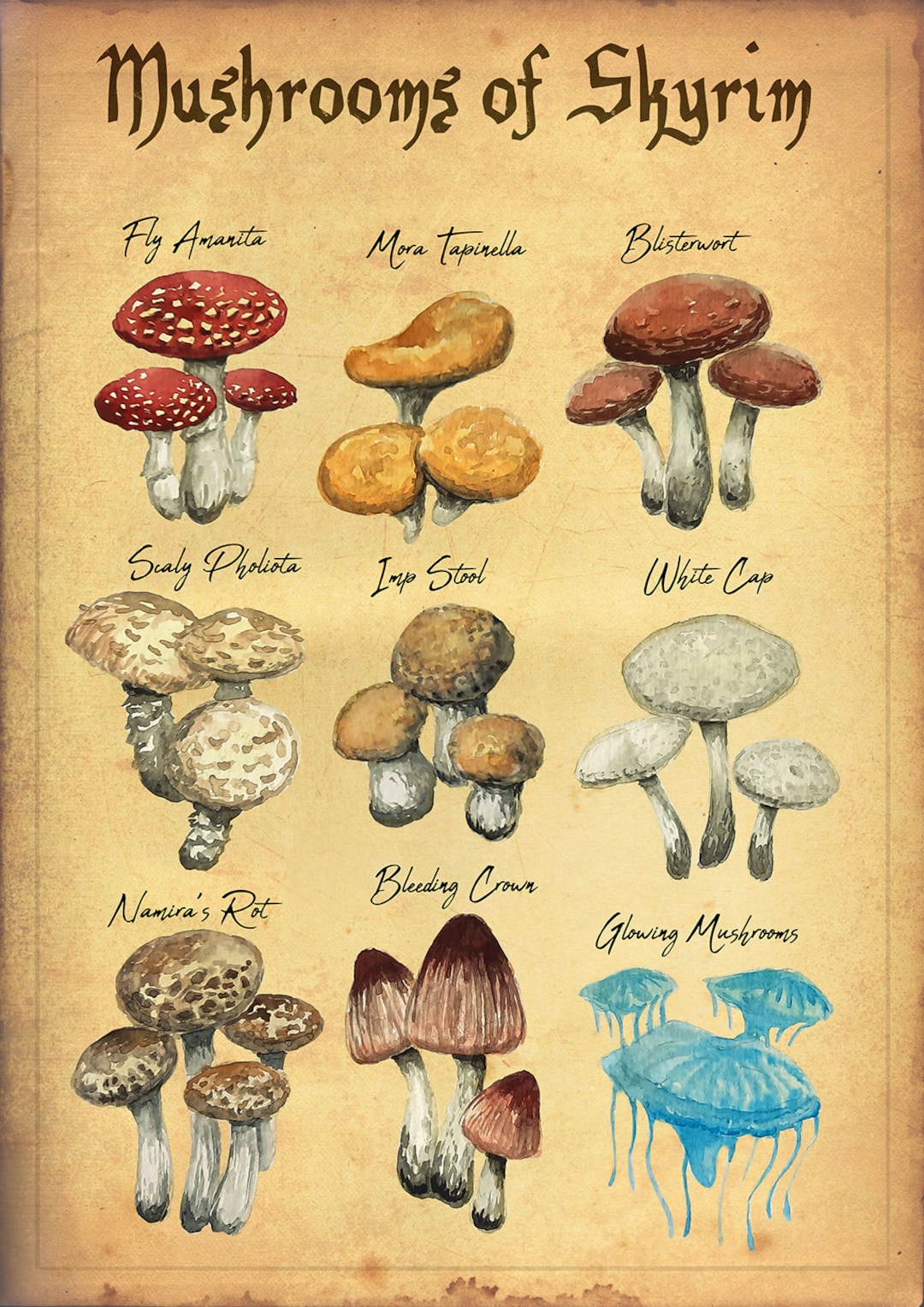Elder Scrolls Skyrim Mushrooms and Fungi Sketches Signed Print for Alchemist Adventurer or ...