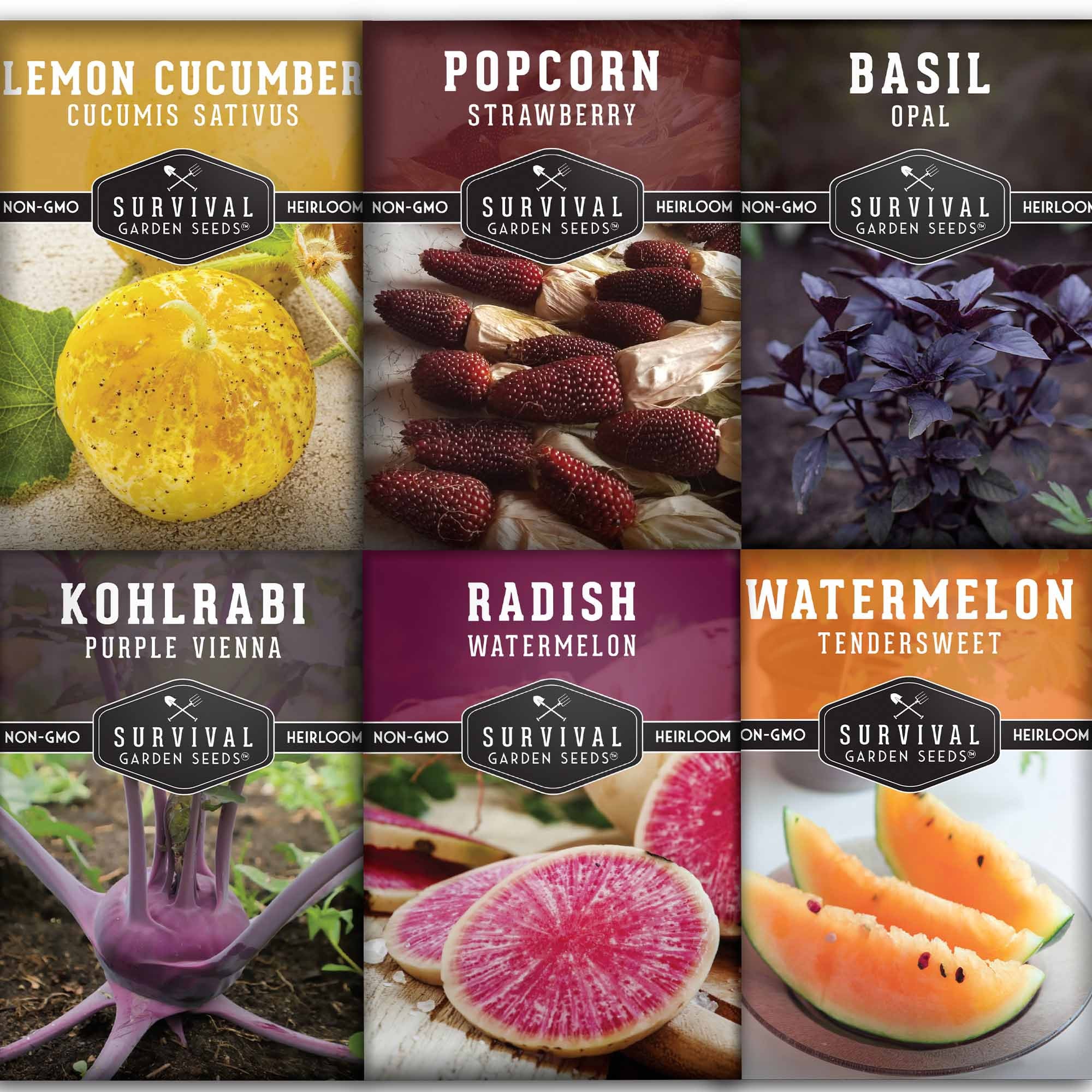 Exotic Vegetable Seed Collection Kohlrabi, Watermelon Radish, Popcorn ...