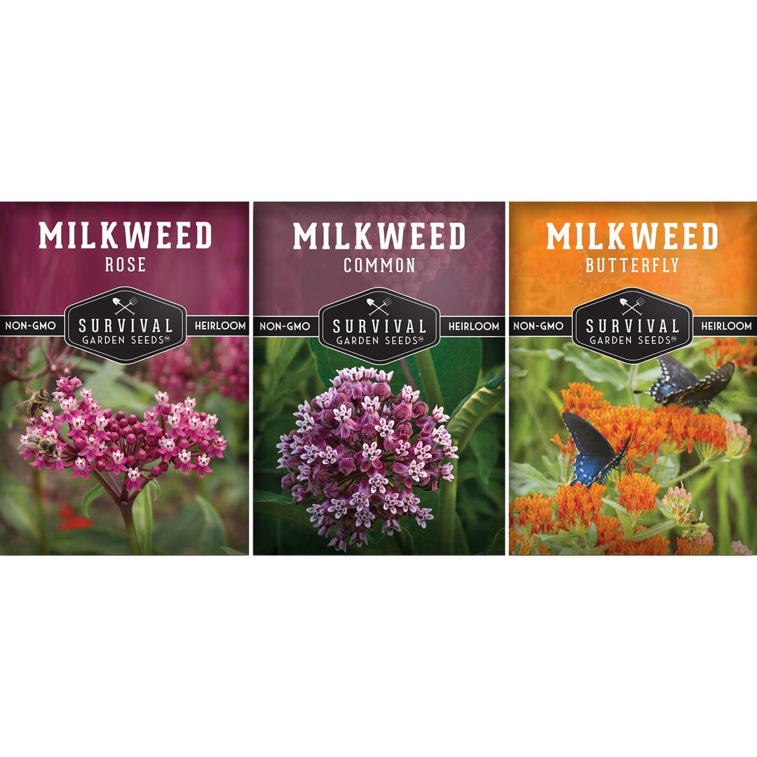 Milkweed Seed Kit - 3 Heirloom Milkweed Seed Packets for Attracting ...