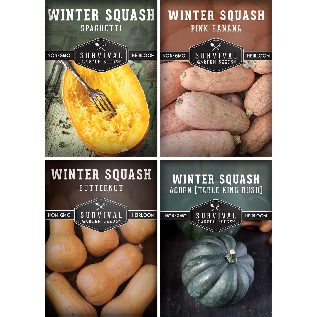 Winter Squash Seed Collection - 4 Non-gmo, Heirloom Winter Squash Seed ...