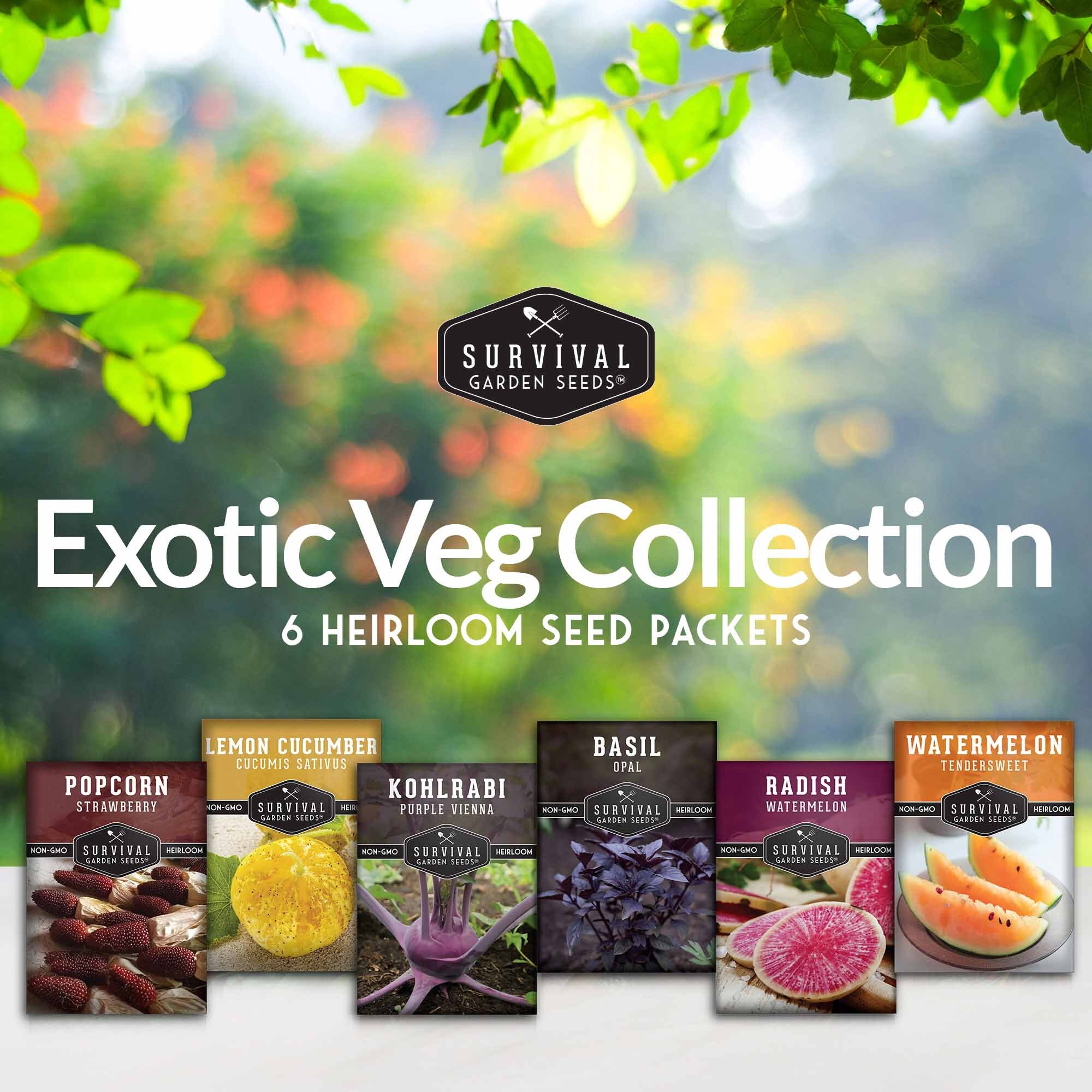 Exotic Vegetable Seed Collection - Kohlrabi, Watermelon Radish, Popcorn ...