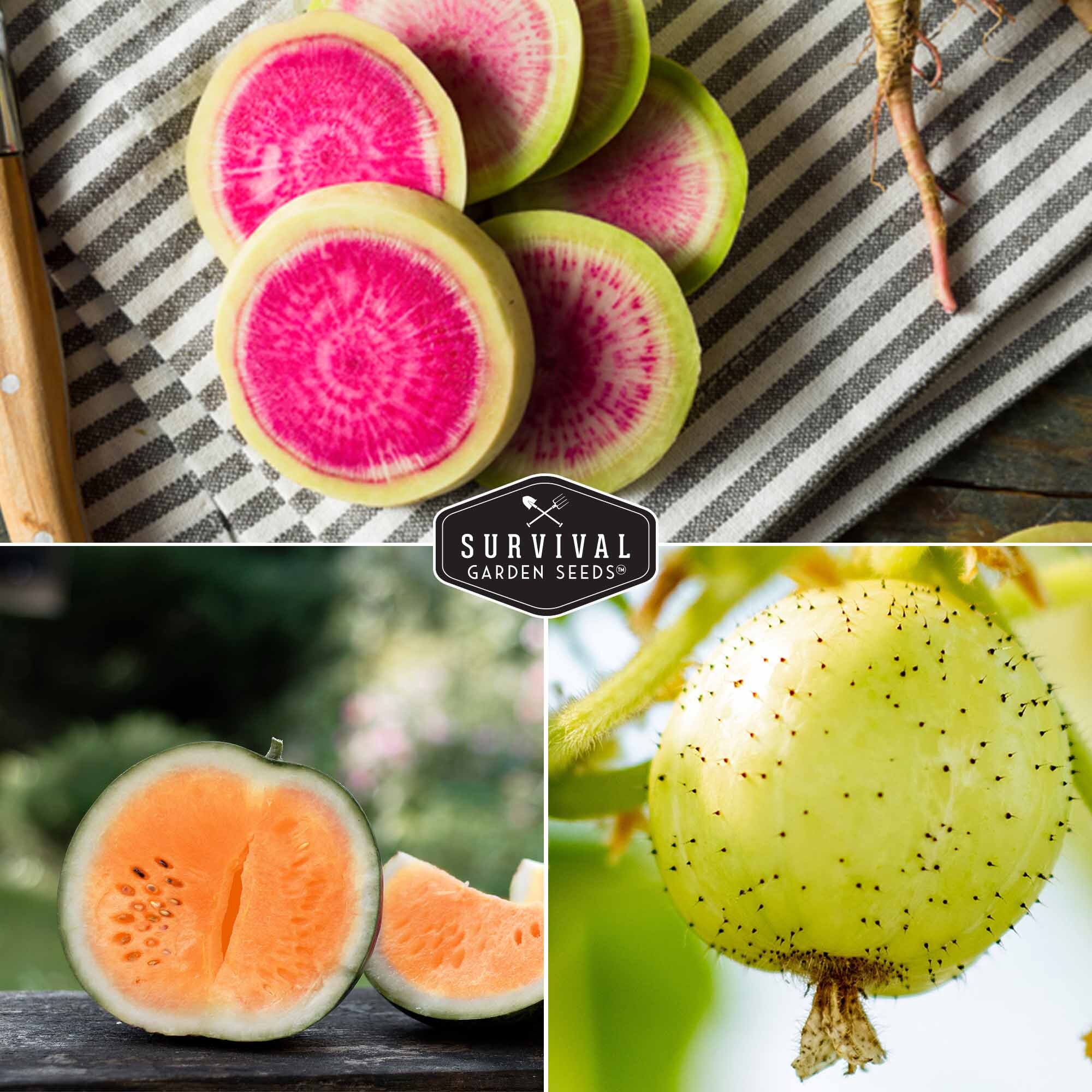 Exotic Vegetable Seed Collection Kohlrabi, Watermelon Radish, Popcorn ...