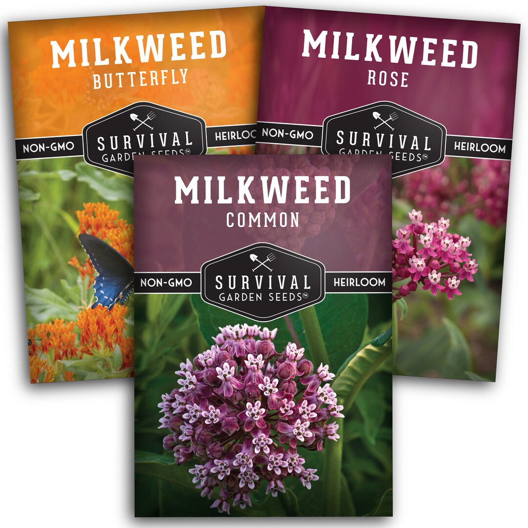 Milkweed Seed Kit 3 Heirloom Milkweed Seed Packets for Attracting ...