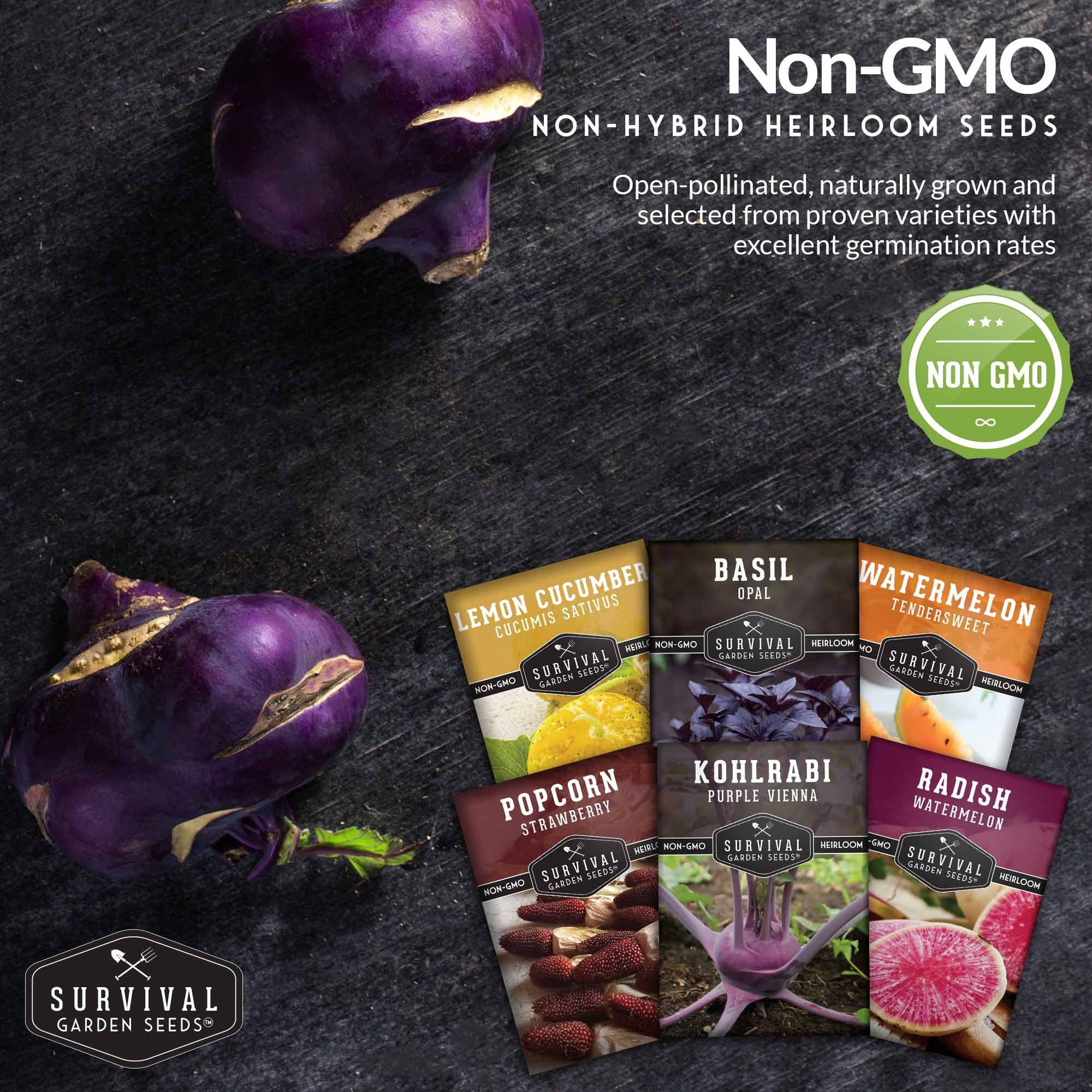 Exotic Vegetable Seed Collection: Heirloom Basil, Radish, Kohlrabi ...