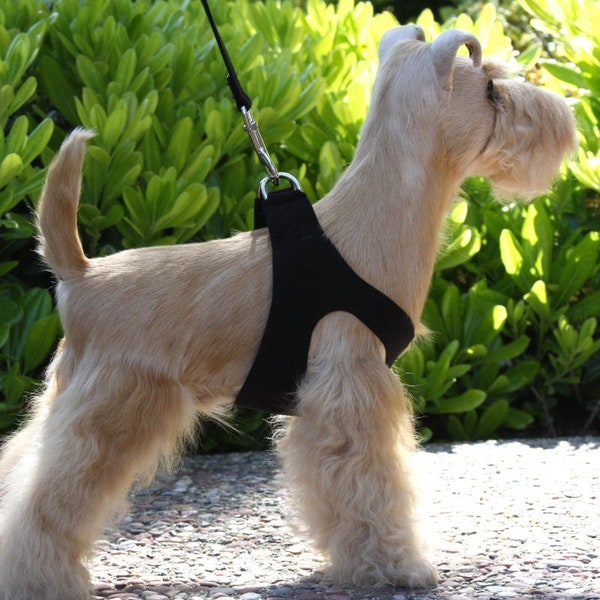 Step in Dog Harness Pattern - Etsy