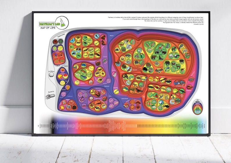 Fine Art Posters Evolutionary Tree of Life Poster, Map of Life, Science ...