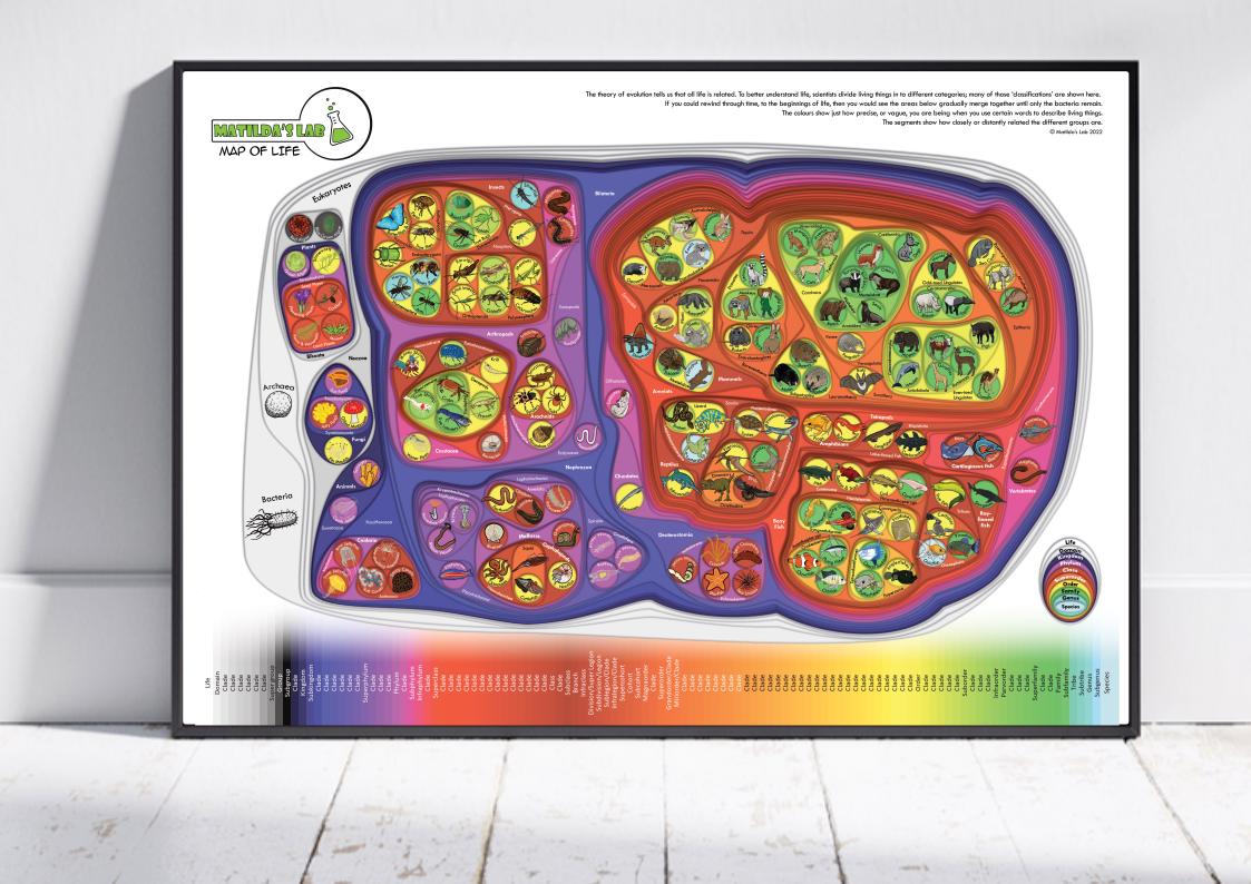 Fine Art Posters Evolutionary Tree of Life Poster, Map of Life, Science ...