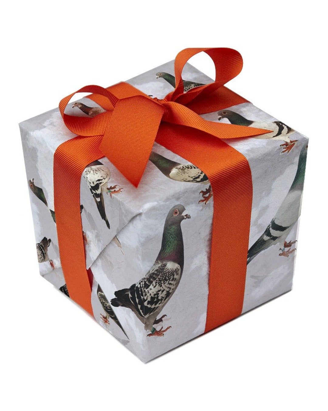 Racing Pigeon Gift Wrap - Etsy