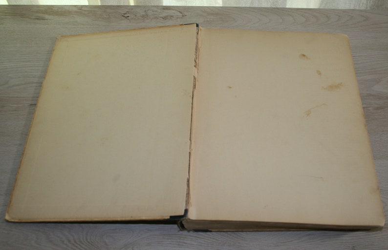 Rare Antique Political Cartoons Book Captains of Industry 1920s ...