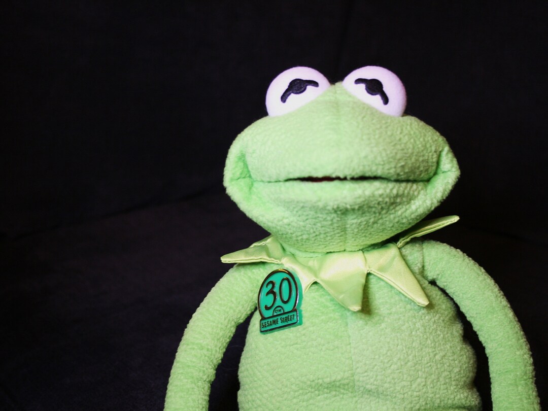Vintage Singing Kermit 1999 Y2K Perfect Condition Muppets Sesame Street ...