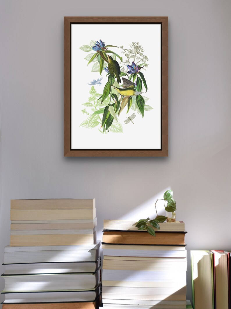 Bird Art Print, Bird Art, Bird Poster, Vintage Bird Art Print, Bird ...