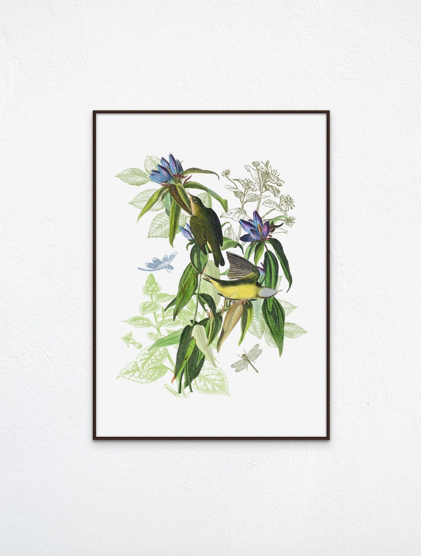 Bird Art Print, Bird Art, Bird Poster, Vintage Bird Art Print, Bird ...