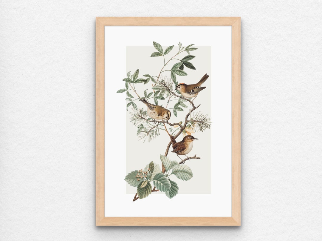 Bird Art Print, Bird Art, Bird Poster, Forestcore Art Print, Bird ...