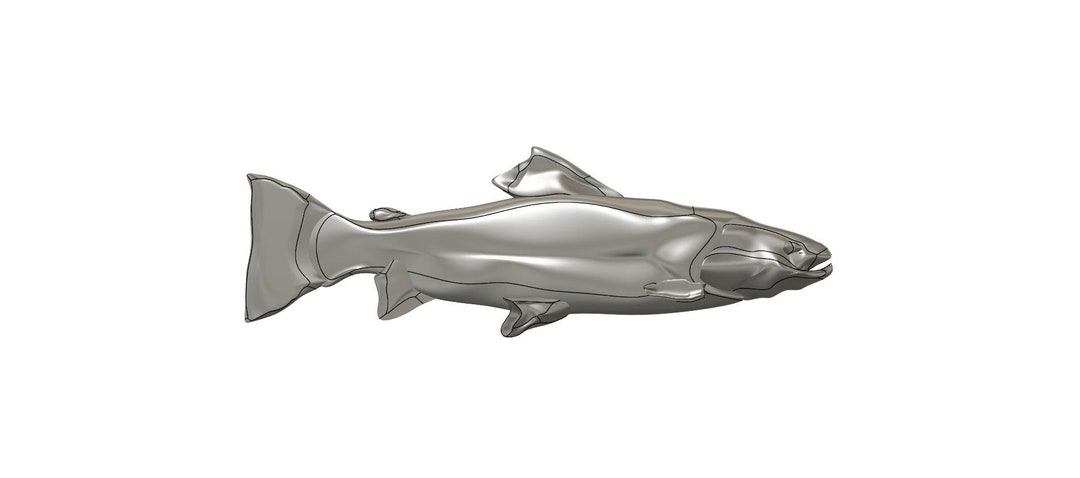 Rainbow (steelhead) Trout STL CNC - Etsy