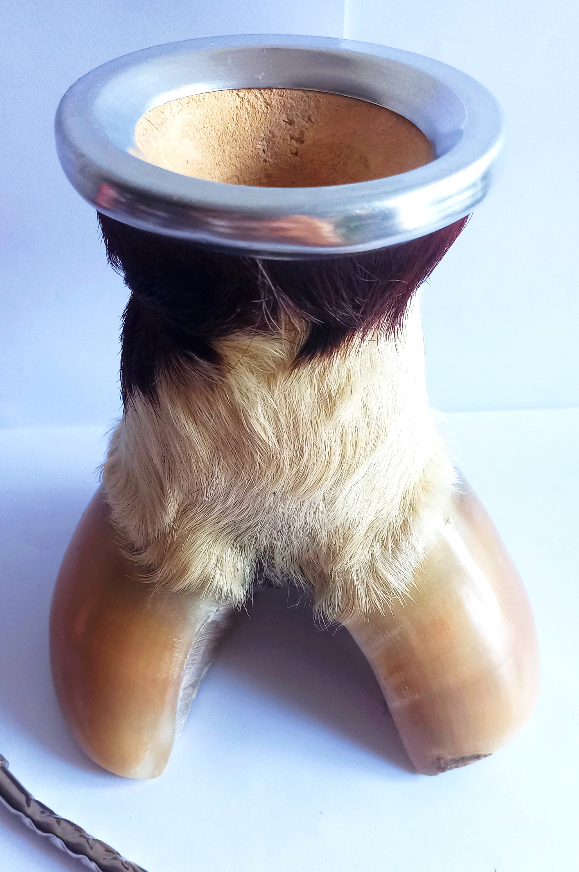 Cow Hoof Mate Cup and Straw, Rustic Mate, Yerba Mate, Mate Gourd, Mate ...