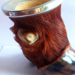 Cow Hoof Mate Cup and Straw, Rustic Mate, Yerba Mate, Mate Gourd, Mate ...