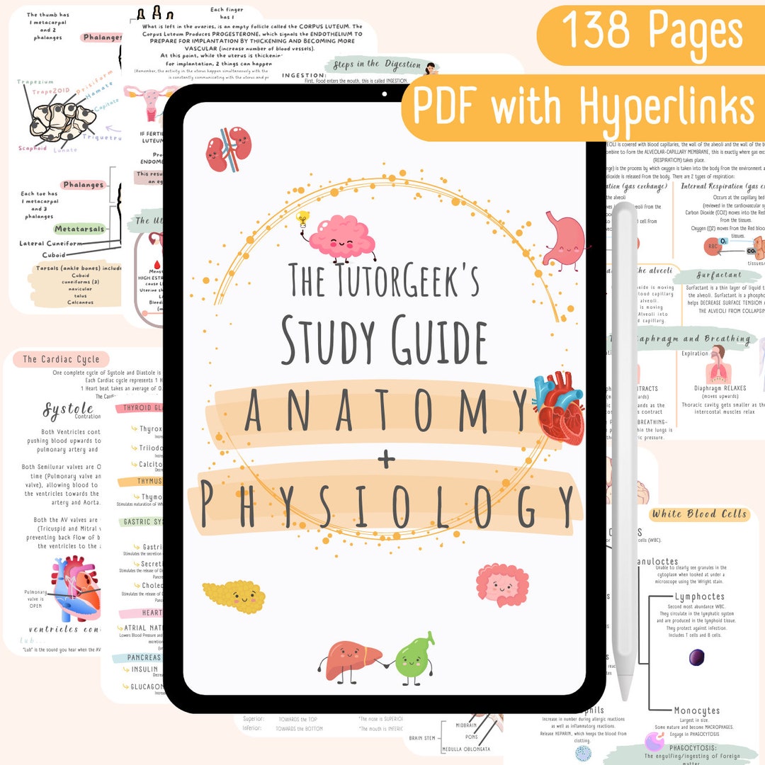 Anatomy and Physiology Study Guide Plus 362 Practice QUESTIONS! - Etsy