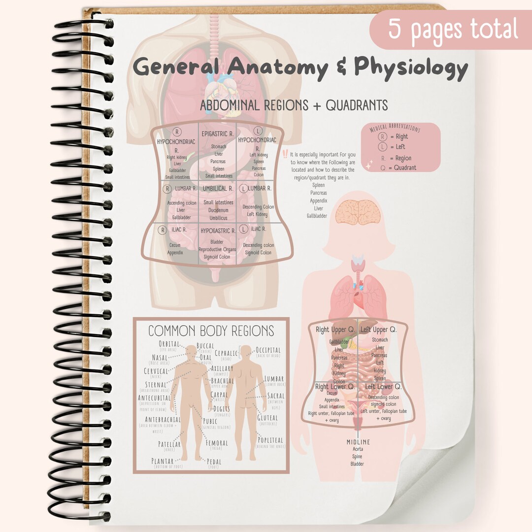 General Anatomy & Physiology Study Guide - Etsy