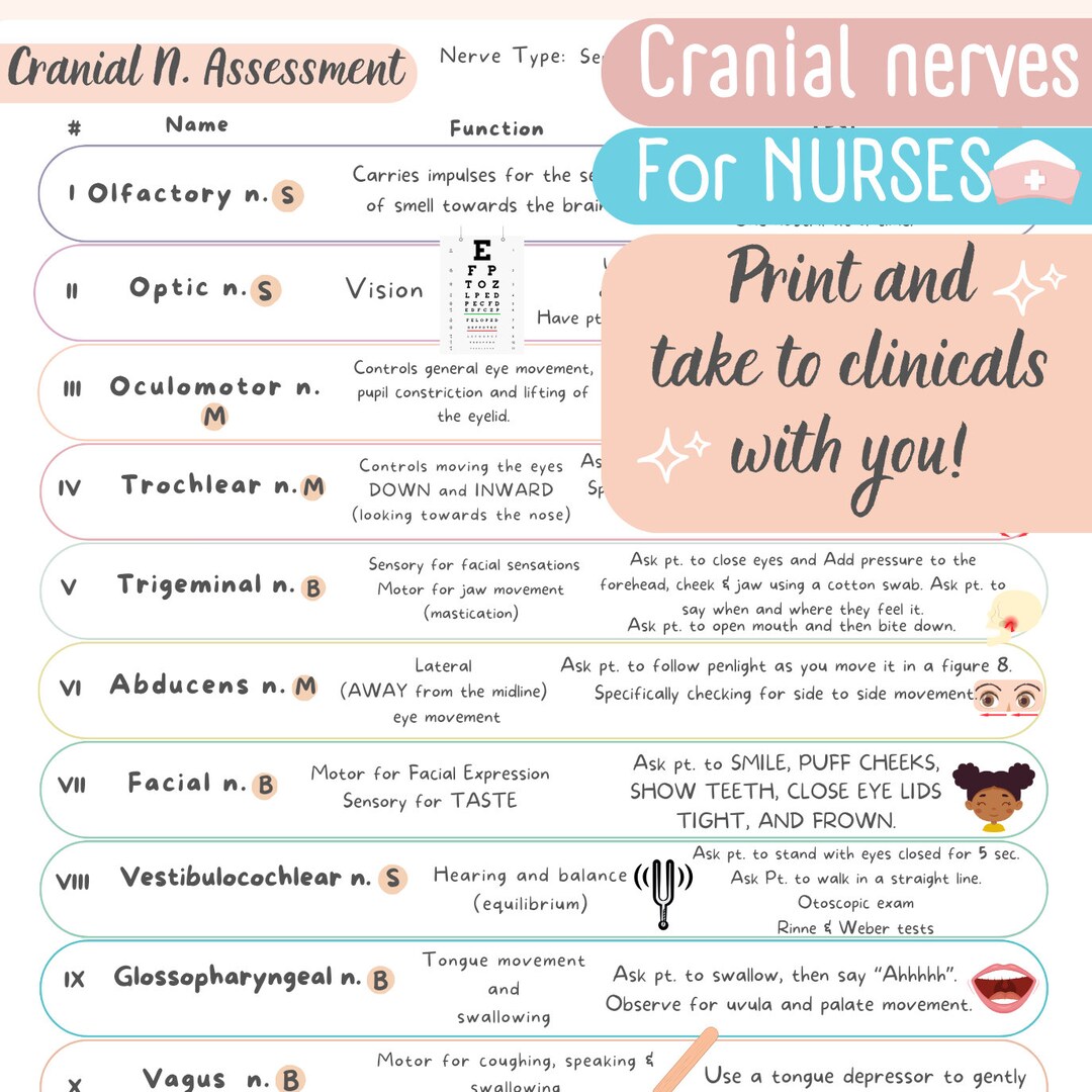 Cranial Nerves Cheat Sheet for Nursing Students - Etsy