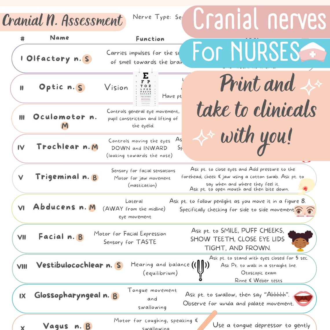 Cranial Nerves Cheat Sheet for Nursing Students - Etsy