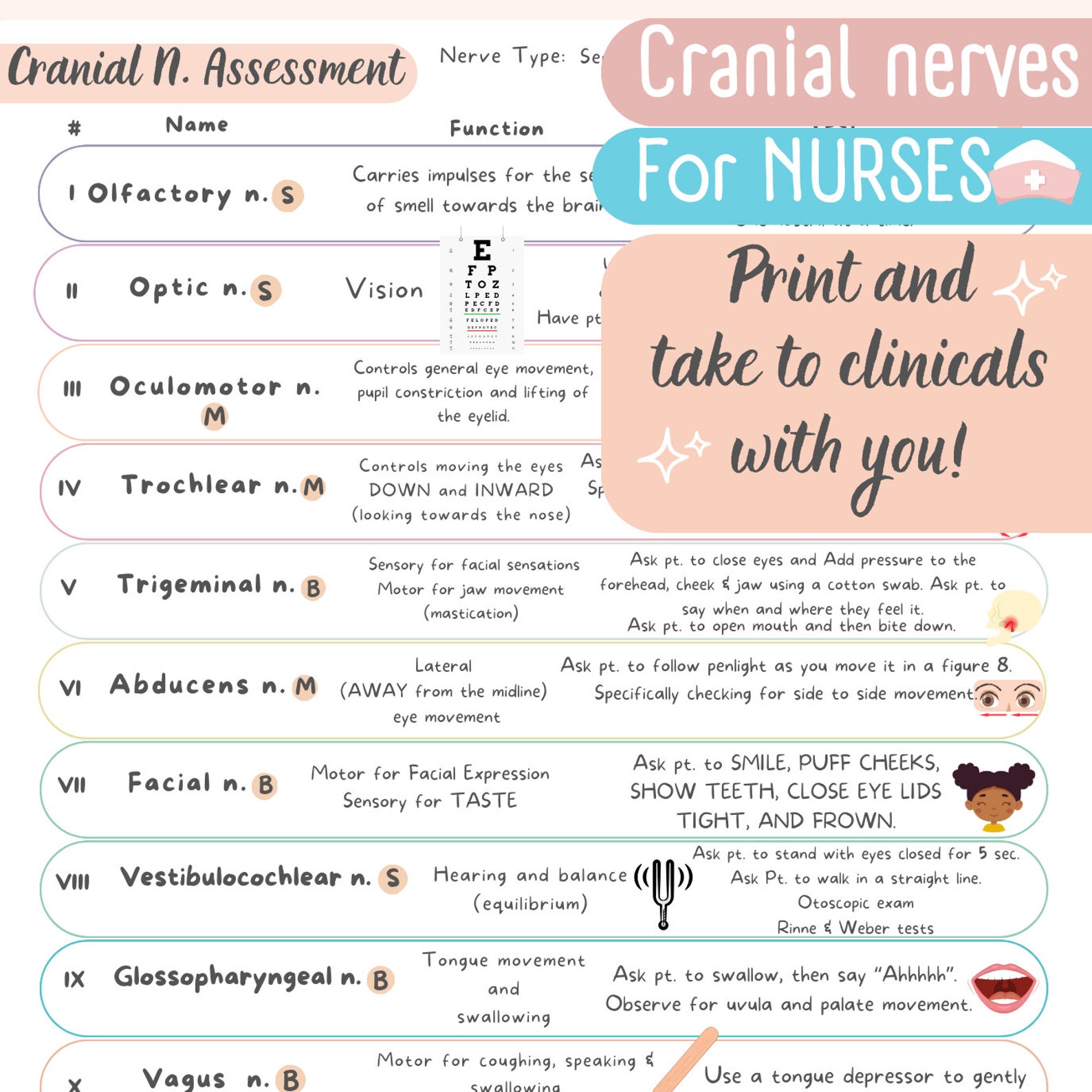 Cranial Nerves Cheat Sheet for Nursing Students - Etsy