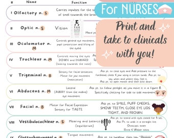 Cranial Nerve Chart Sticker, SLP, Occupational Therapist, Grad School ...