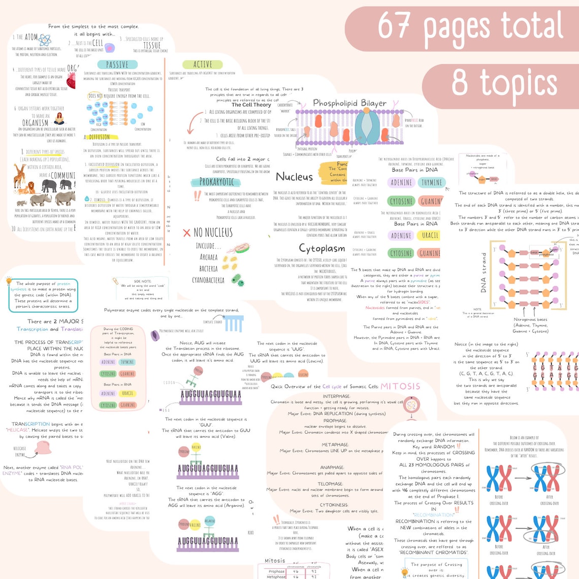 Biology Study Guide - Etsy