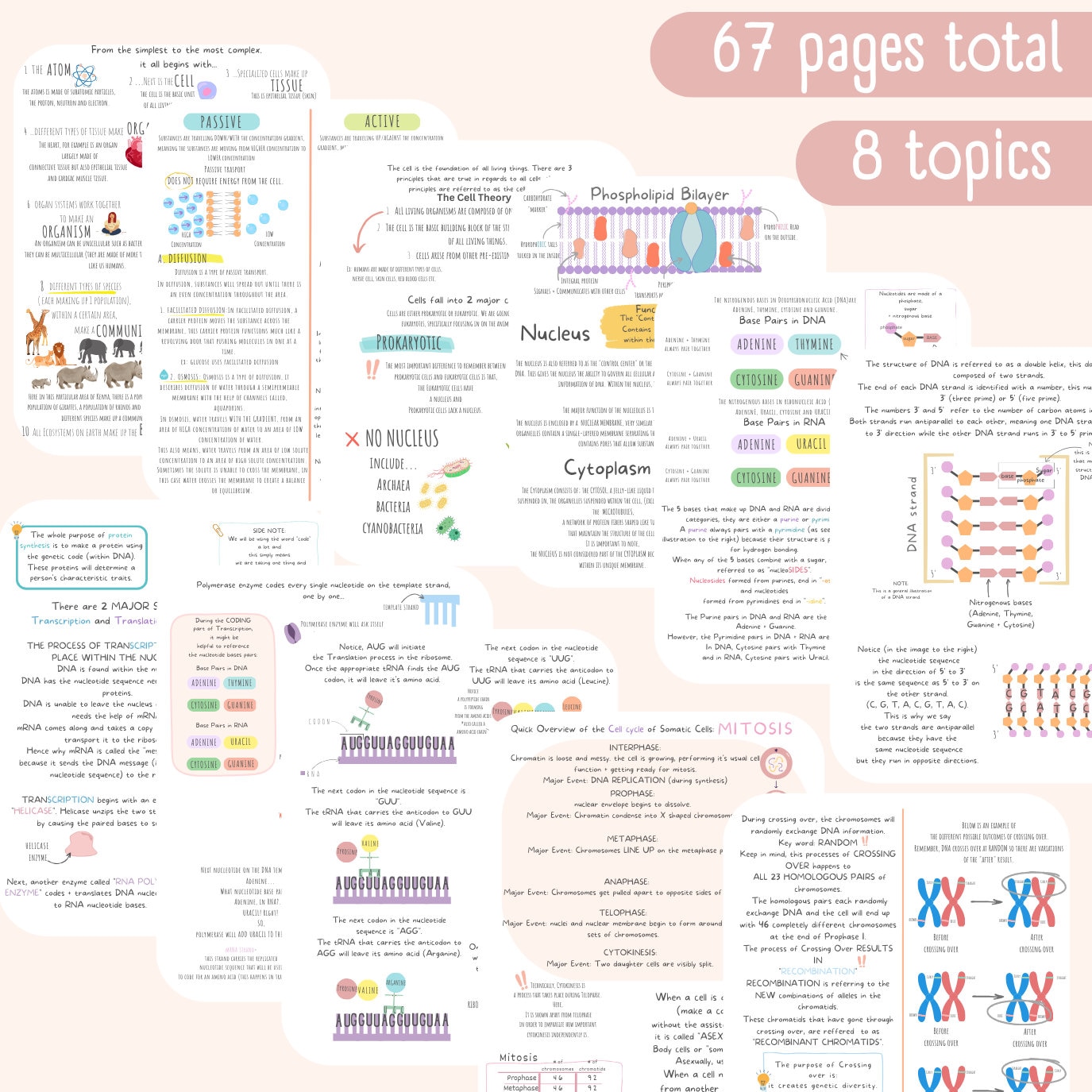 Biology Study Guide - Etsy