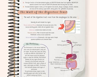 The Digestive System Study Guide GI Tract Gastrointestinal Nursing ...