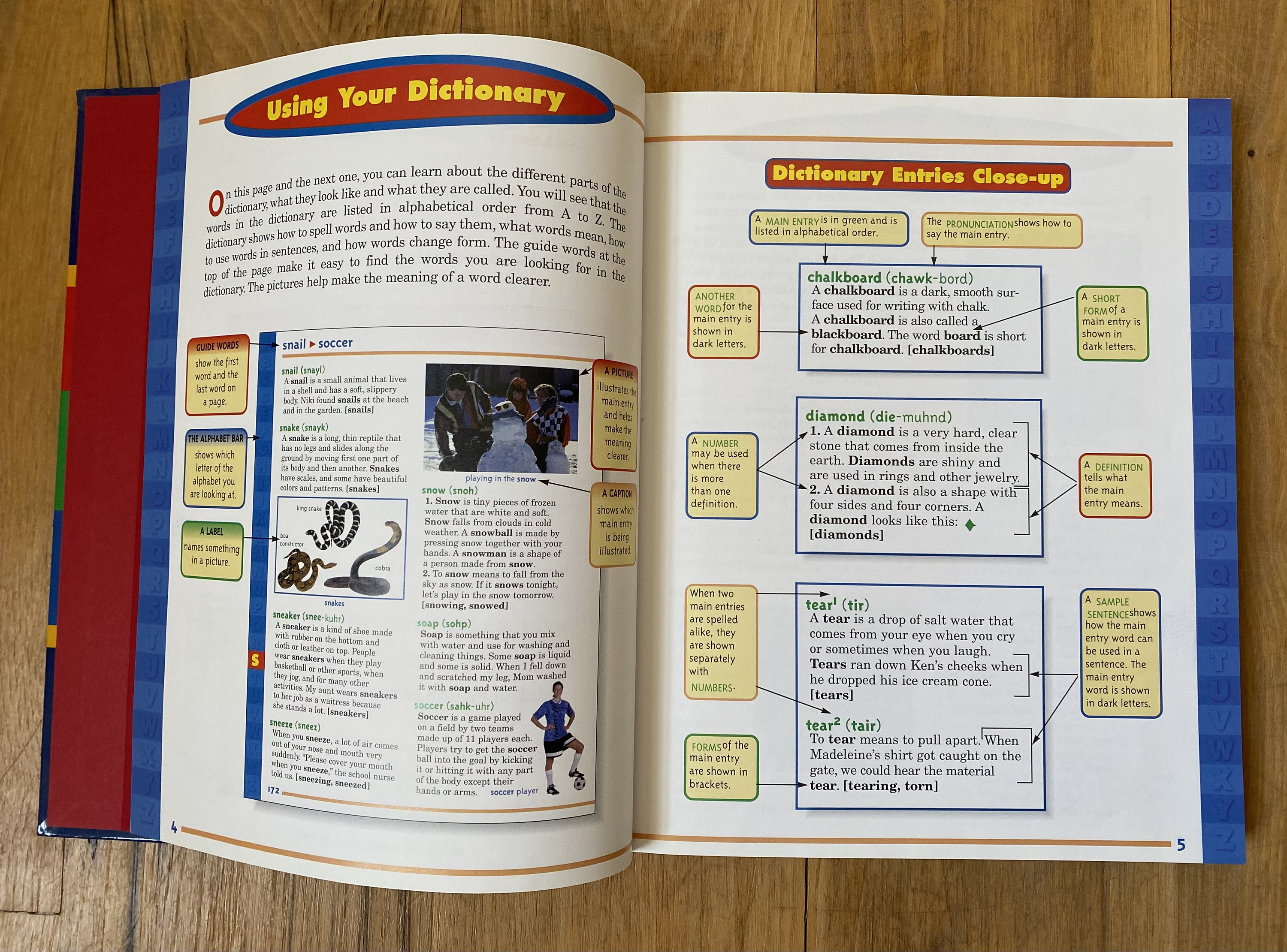 Scholastic First Dictionary 1998 HC Children's Book - Etsy