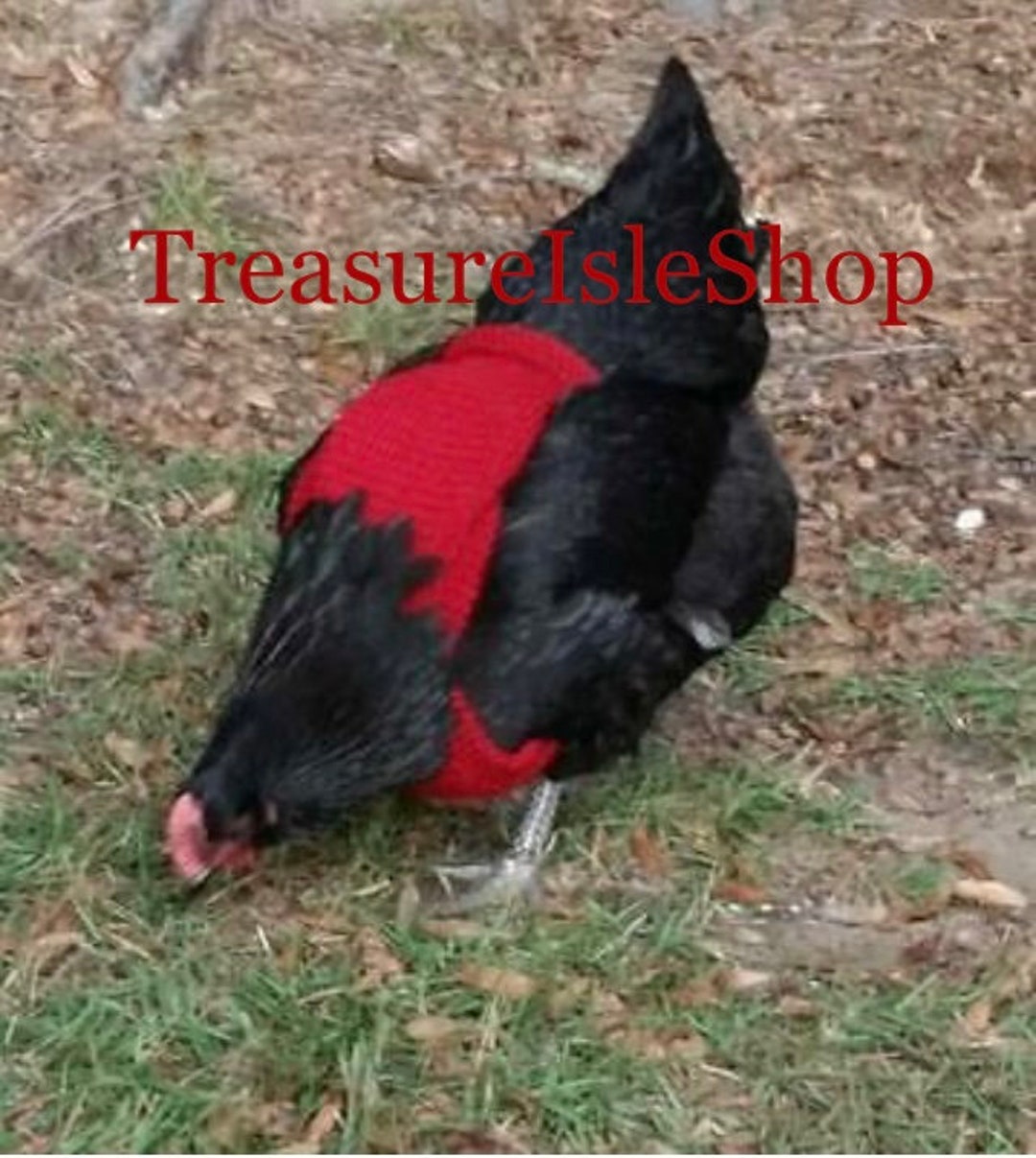 MADE BY HAND ~ Poultry Sweaters for Chickens - Etsy