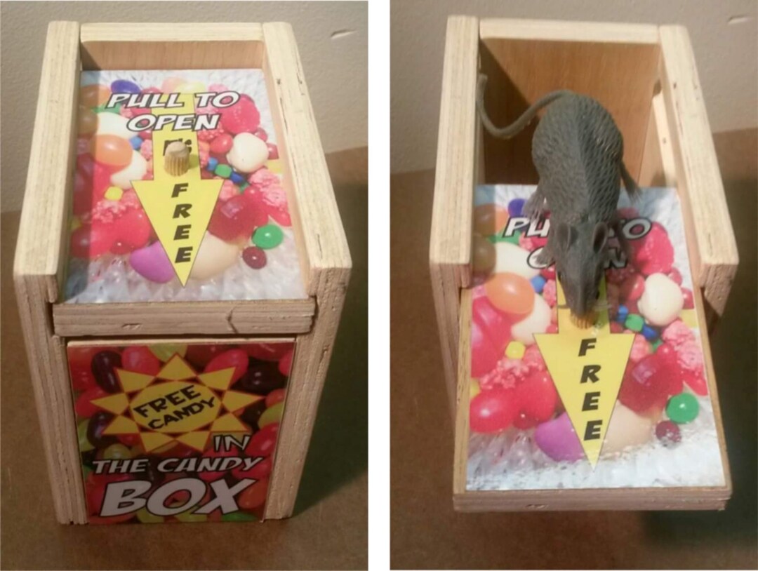 Candy Joke Box - Etsy