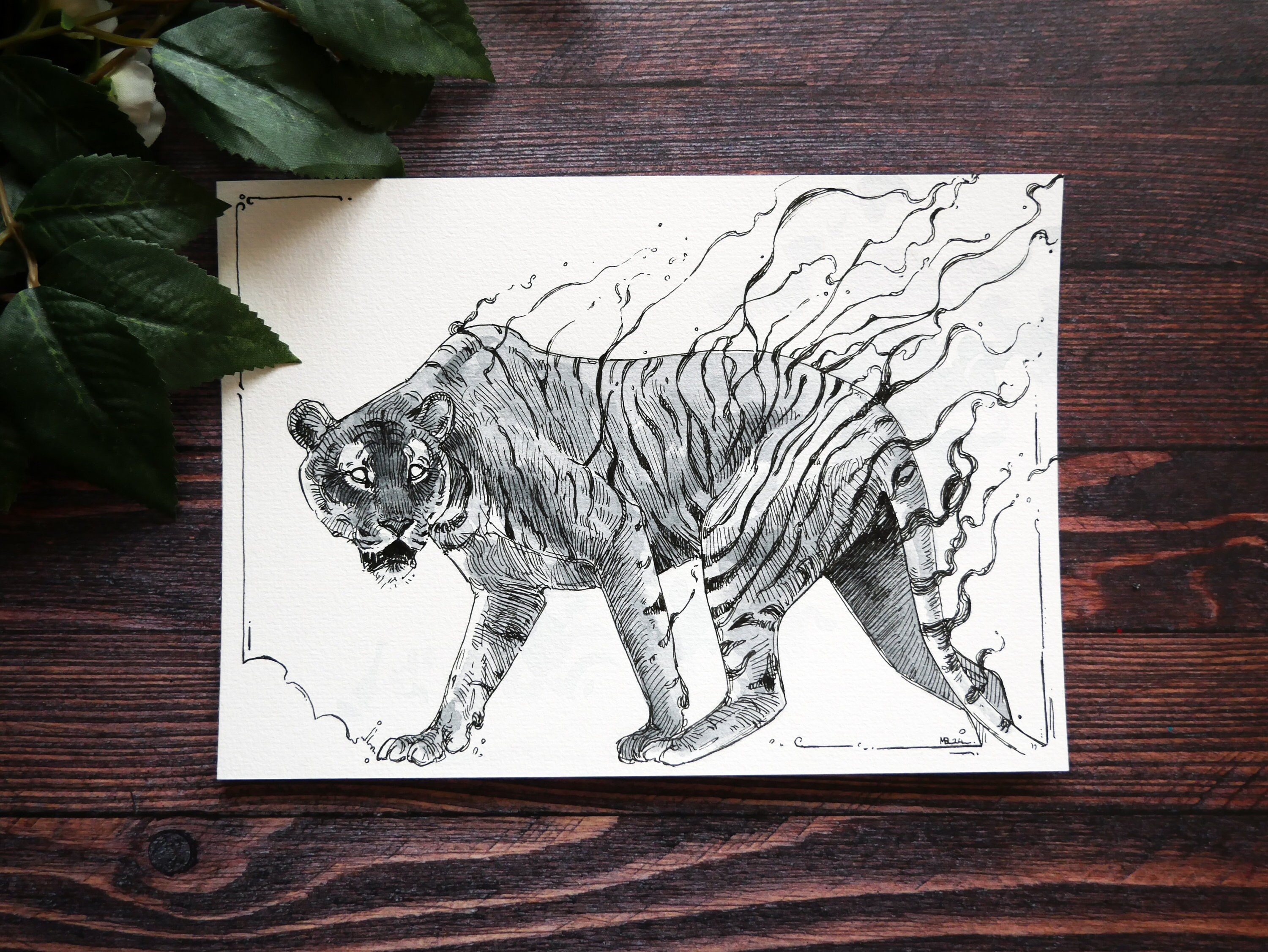 Original - Tiger Ink Drawing, A5 - Etsy