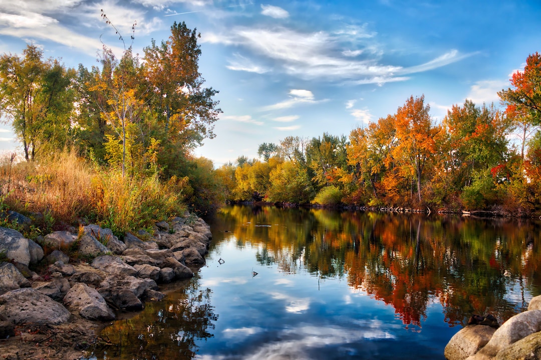 Beautiful Boise River Riverscape Golden Fall Color Oversized ...