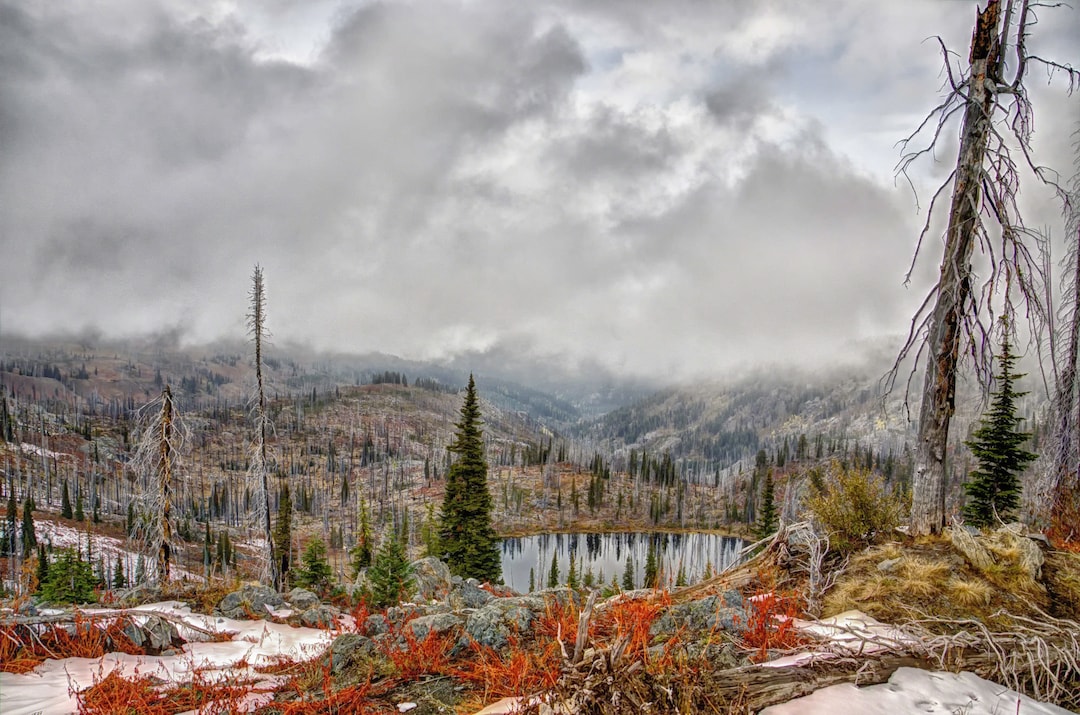 Reflection at Lloyds Lake Large Canvas, Metal or Acrylic Print Idaho ...