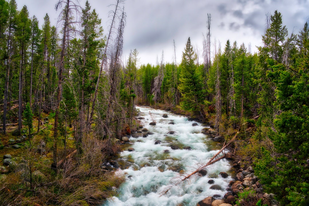 Powerful Redfish Lake Creek Whitewater Oversized Photograph Print of ...