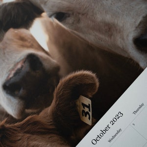 2023 Western Ranch Cow Calendar - Etsy