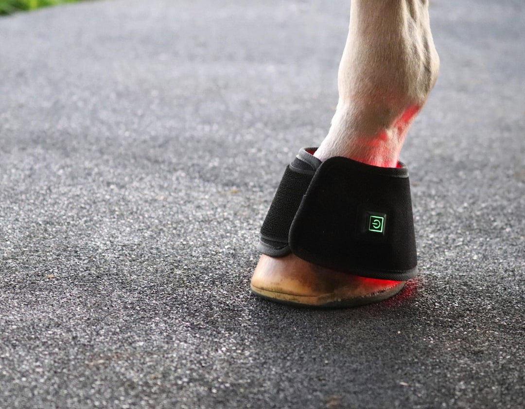 Red Light Therapy Horse Bell Boot - 40w, 660/850nm - Etsy